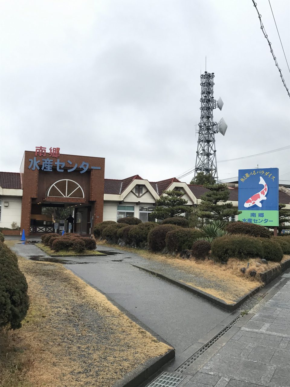 さかなと遊べるパラダイス！ 滋賀県大津市の南郷水産センター ｜ ホウワ
